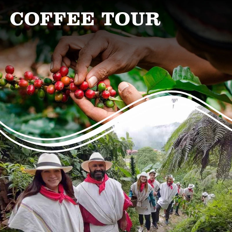 Coffee Tour (Two (2) people minimum per tour / ¡Our tours are private!